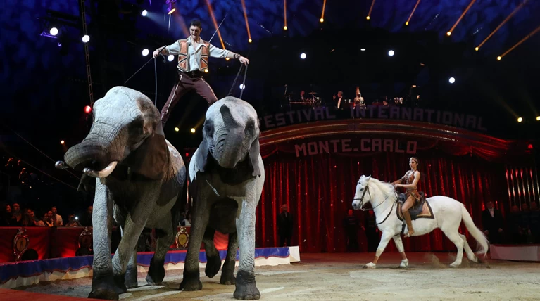 250 χρόνια από το πρώτο τσίρκο: Γιορτή στο Μόντε Κάρλο | Διεθνή Ειδήσεις