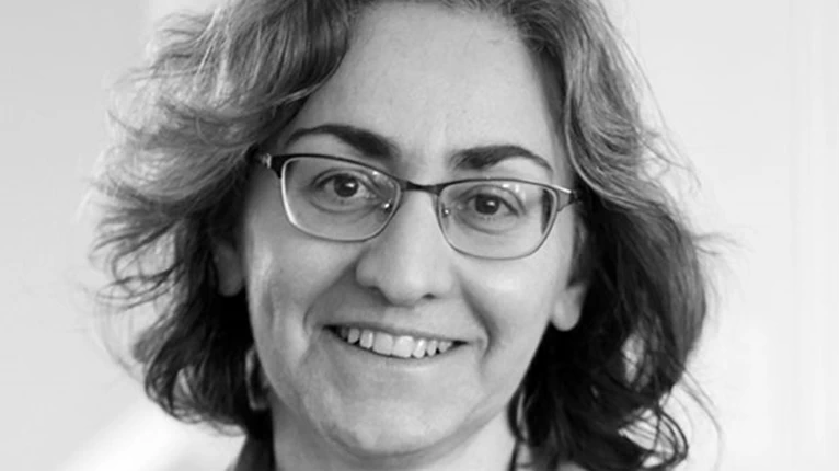 Ελίζαμπετ Σιδηροπούλου: Μια Ελληνίδα στην ομάδα που θα συμβουλεύει τον ...